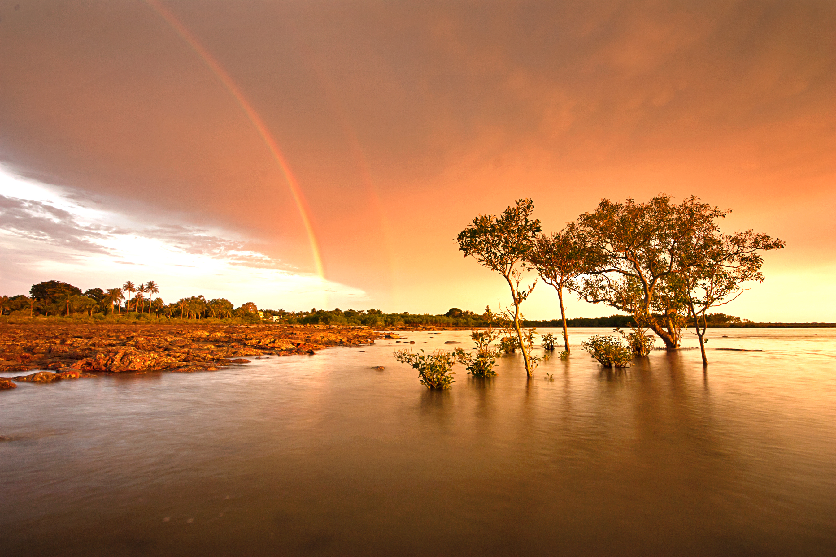 TIPS | Finding the light | Louise Denton Photography